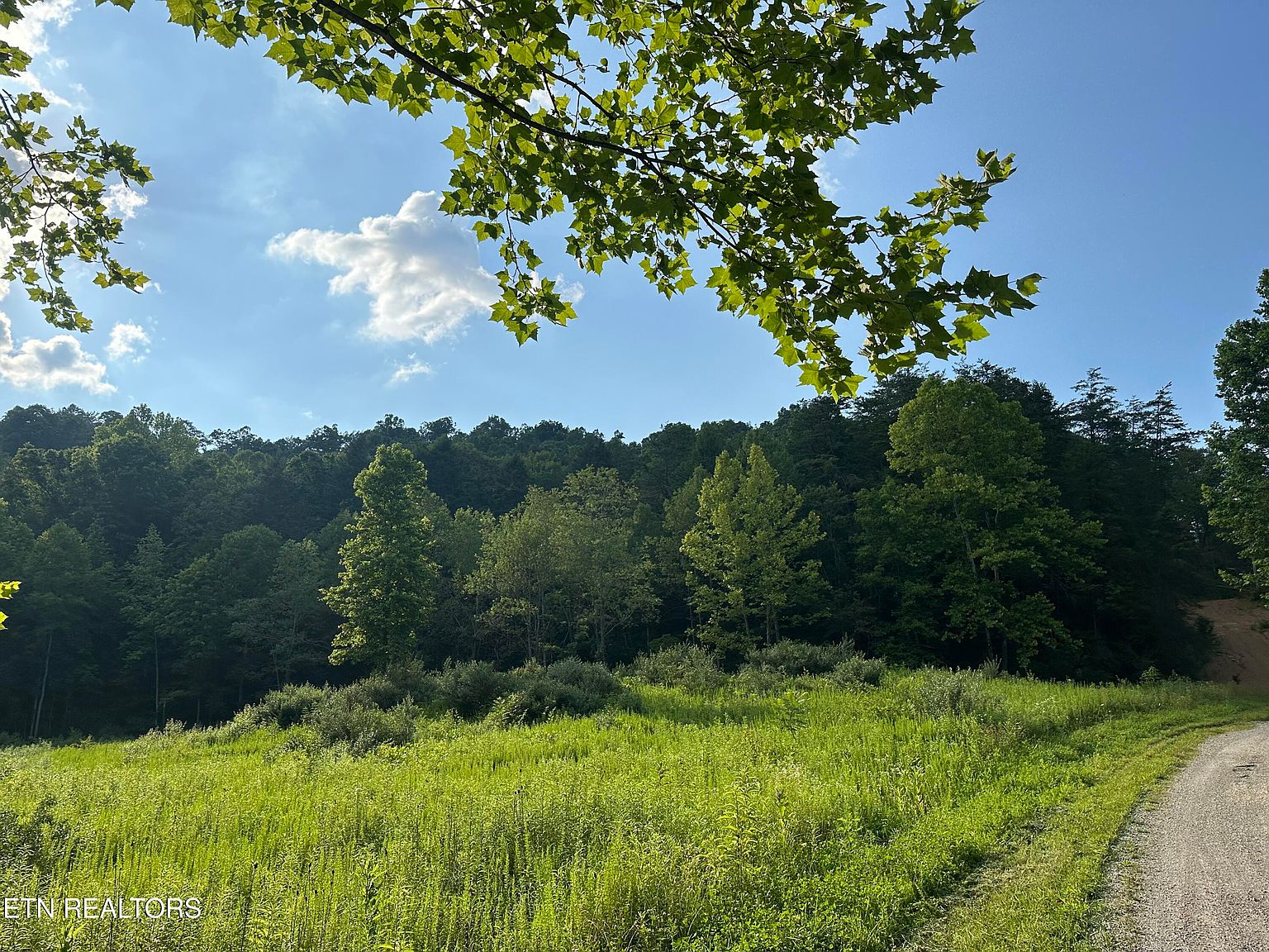 Doc Hollow Off Lowes Branch Rd, La Follette, TN 37766 | MLS #1305950 ...