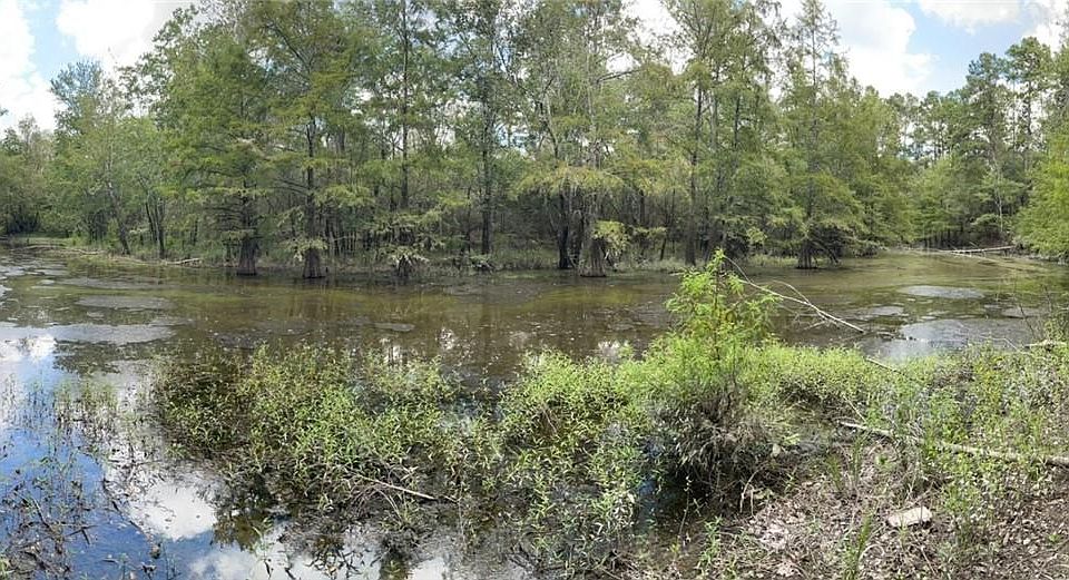 11818 Willard's Camp Rd, Mittie, LA 70654 | Zillow