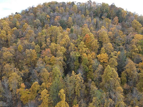 2039 Erbacon Rd, Cowen, WV 26206 | MLS #10151600 | Zillow