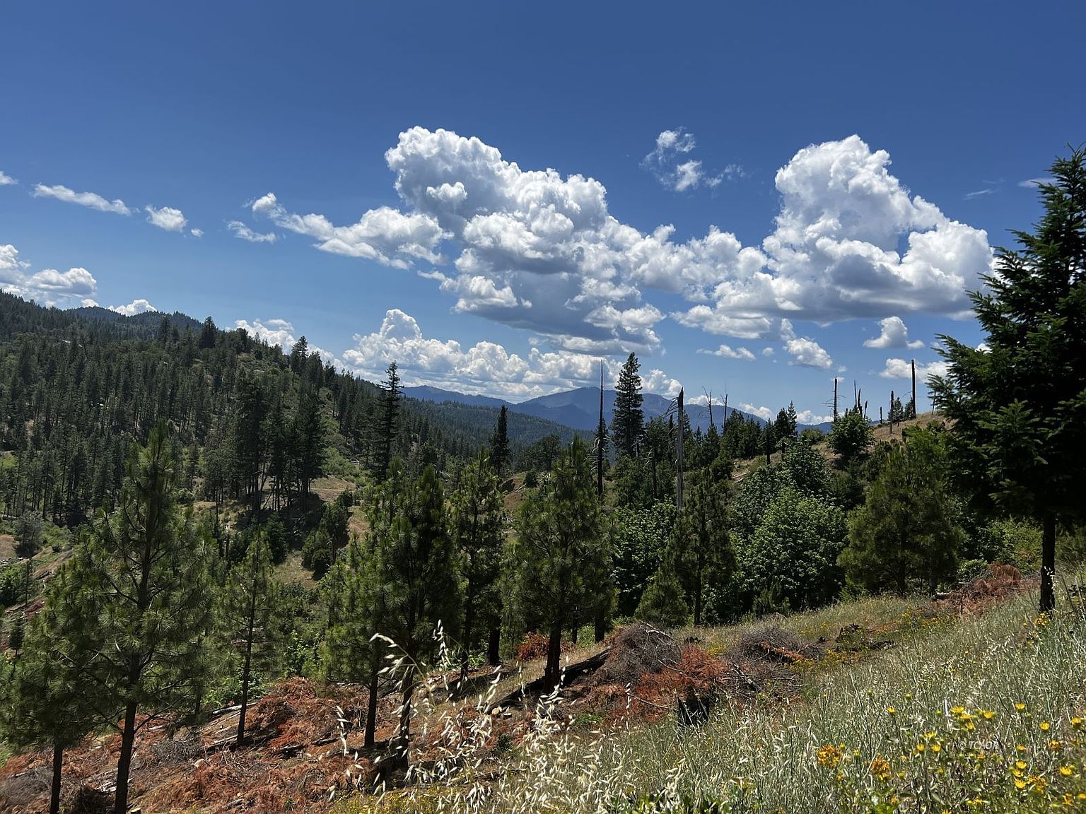 0 Glennison Gap Rd, Weaverville, CA 96093 | MLS #2111983 | Zillow