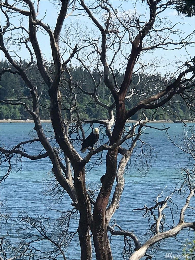 8300 Oyster Shell Ln, Anacortes, WA 98221 | Zillow