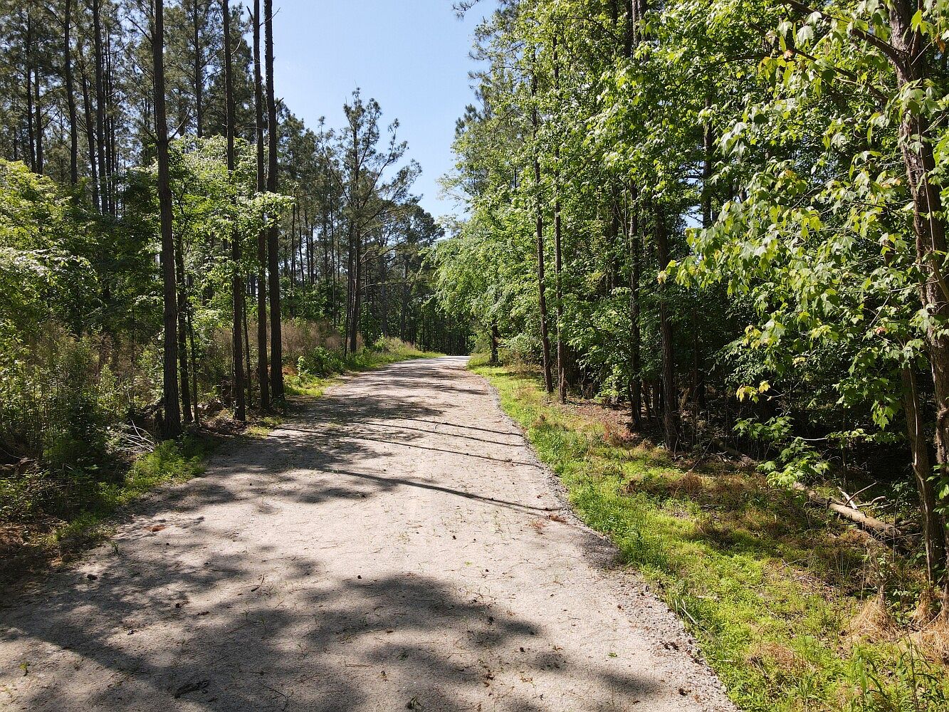 3828 Standing Pine Ln, Zebulon, NC 27597 | MLS #11323139 | Zillow