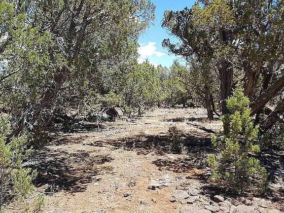 Westwood Ranches Phase 1 Por LOT 39, Williams, AZ 86046 | Zillow