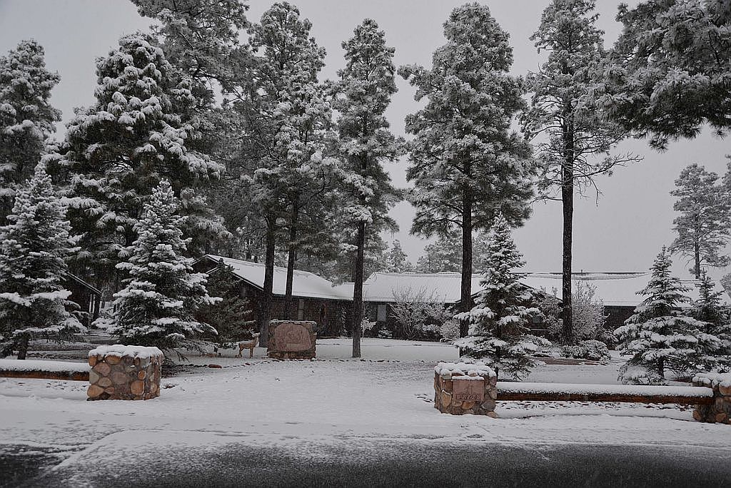 2304 Bison Ranch Trl, Overgaard, AZ 85933 | Zillow