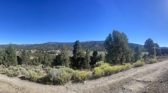 0 Pelican Dr, Big Bear City, CA 92314 | MLS #32401206 | Zillow