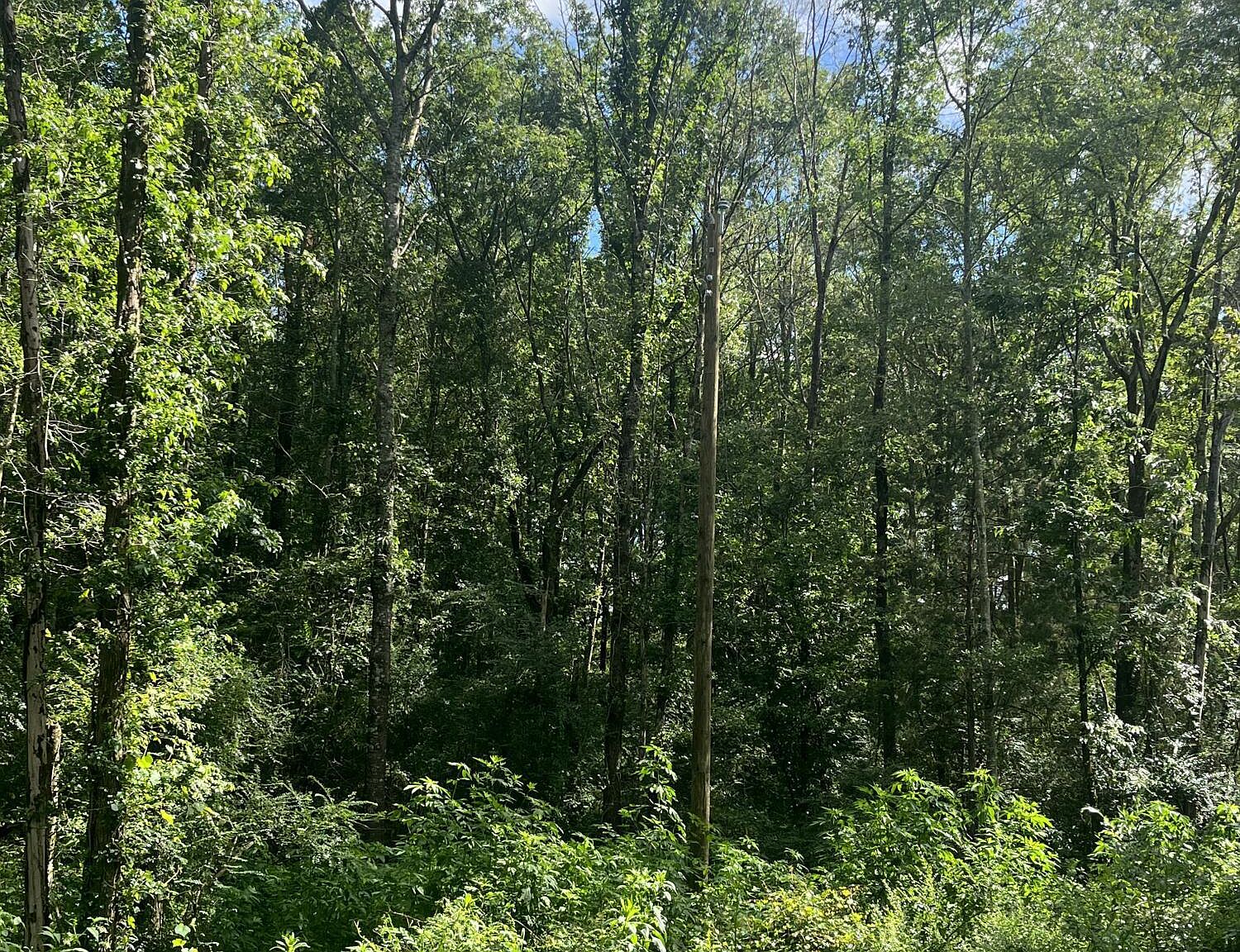 Old Highway 35, Carthage, MS 39051 | MLS #4085002 | Zillow