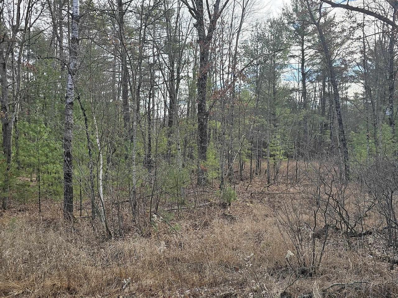 STATE HIGHWAY 173, Babcock, WI 54413 | Zillow