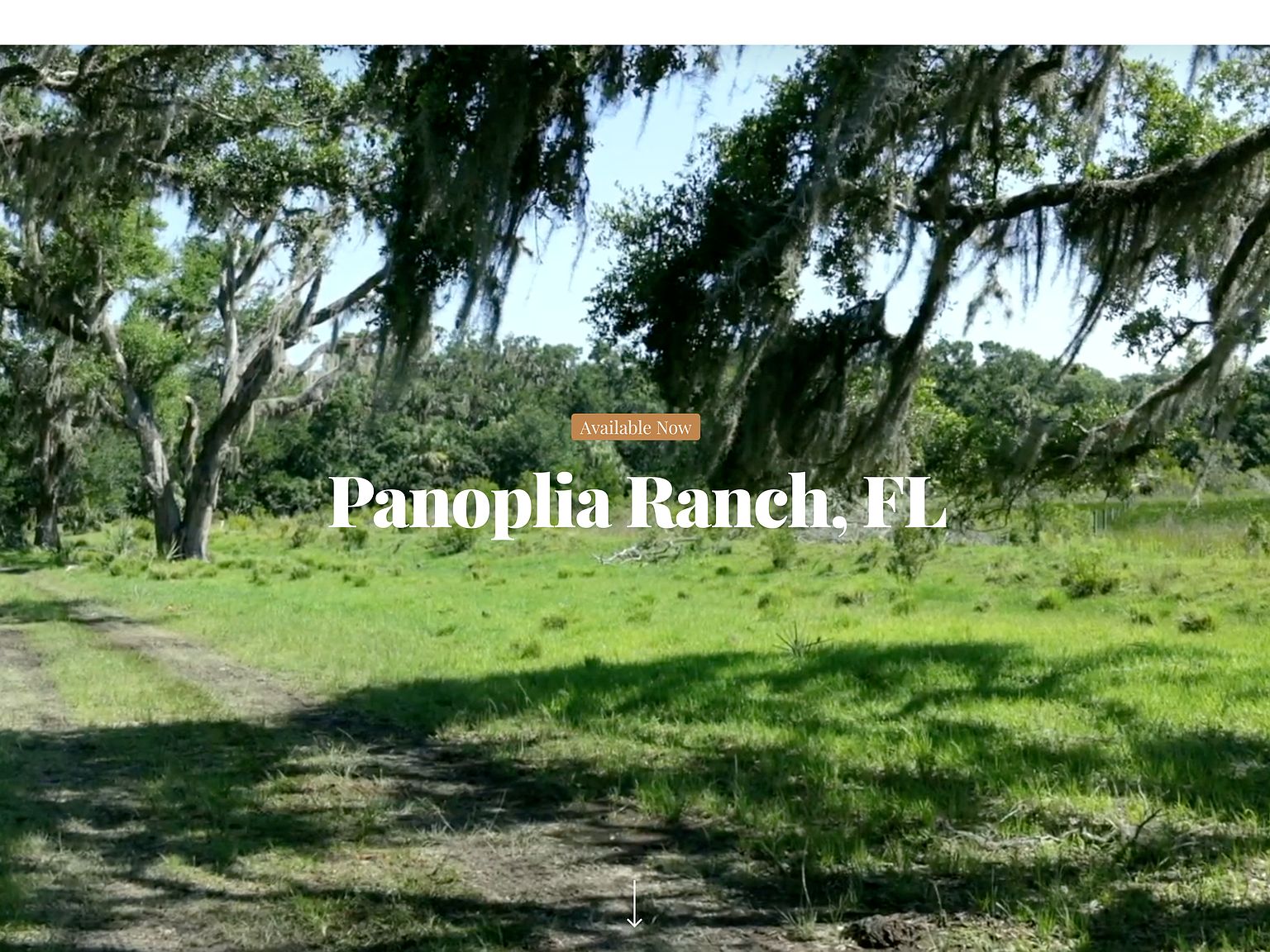 Panoplia Ranch by ACTS Homes in Lake Placid FL | Zillow
