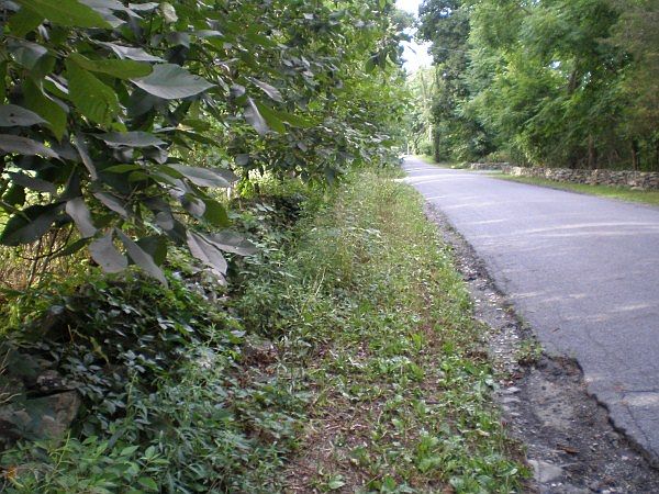 61 Rymph Rd, Staatsburg, NY 12580 | Zillow