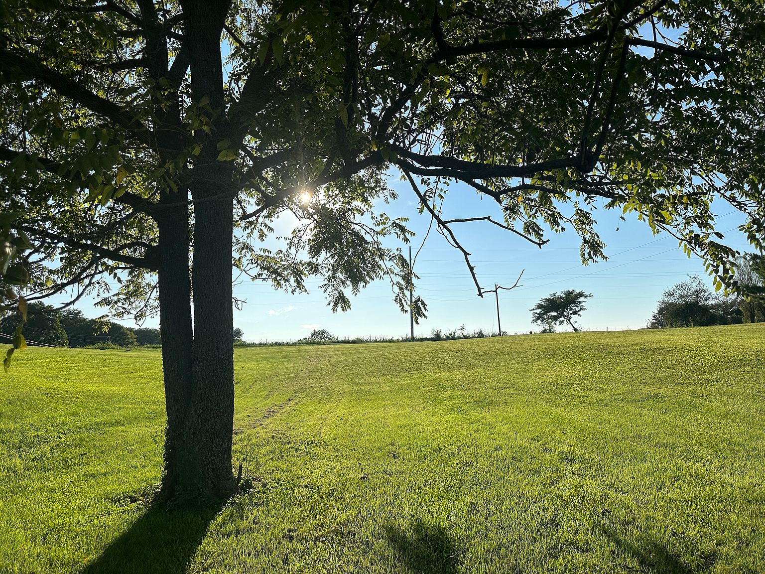 780 Meridian Rd, Mitchell, IN 47446 | Zillow