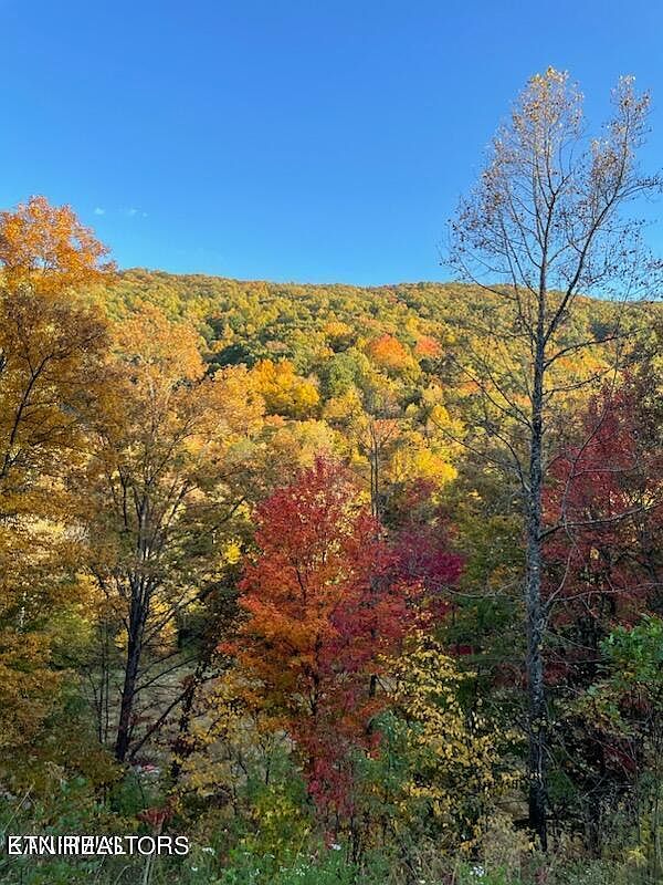 8075 Snake Hollow Rd, Sneedville, TN 37869 | Zillow