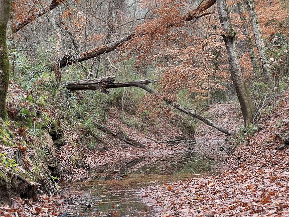 Shelby County, Tenaha, TX 75974 | MLS #42249-23070 | Zillow