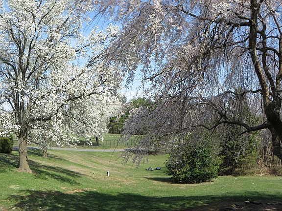 22025 Evergreen Mills Rd #BASEMENT, Leesburg, VA 20175 | Zillow