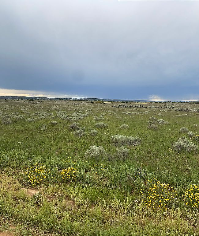 27 Thump Ridge Rd, Ramah, NM 87357 | Zillow