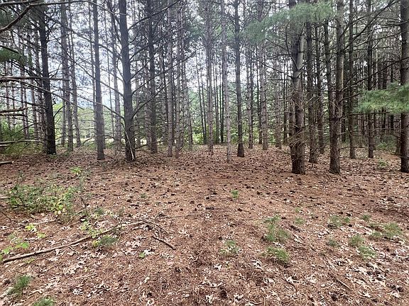 Lt2 OAK TREE ACRES, Princeton, WI 54968 | MLS #1889205 | Zillow