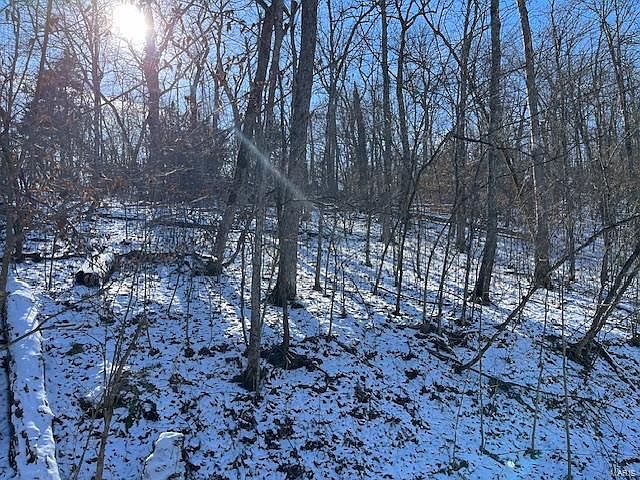 75 Skyline Dr N, New Florence, MO 63363 | MLS #24002935 | Zillow