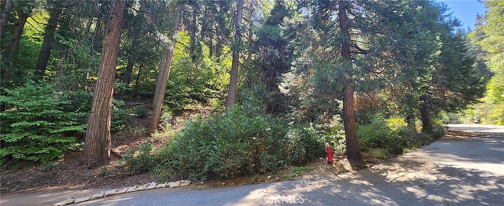 0 Maple Rd #8, Skyforest, CA 92385 | MLS #RW22223918 | Zillow
