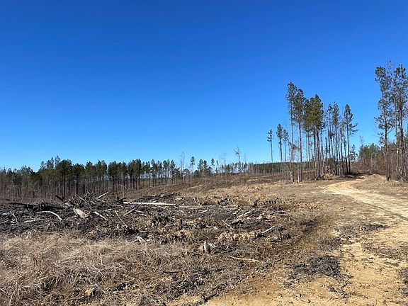 Fire Tower Rd, Pattison, MS 39144 | MLS #144033 | Zillow