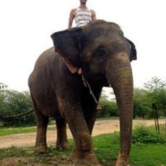 Reed Showalter | Zillow