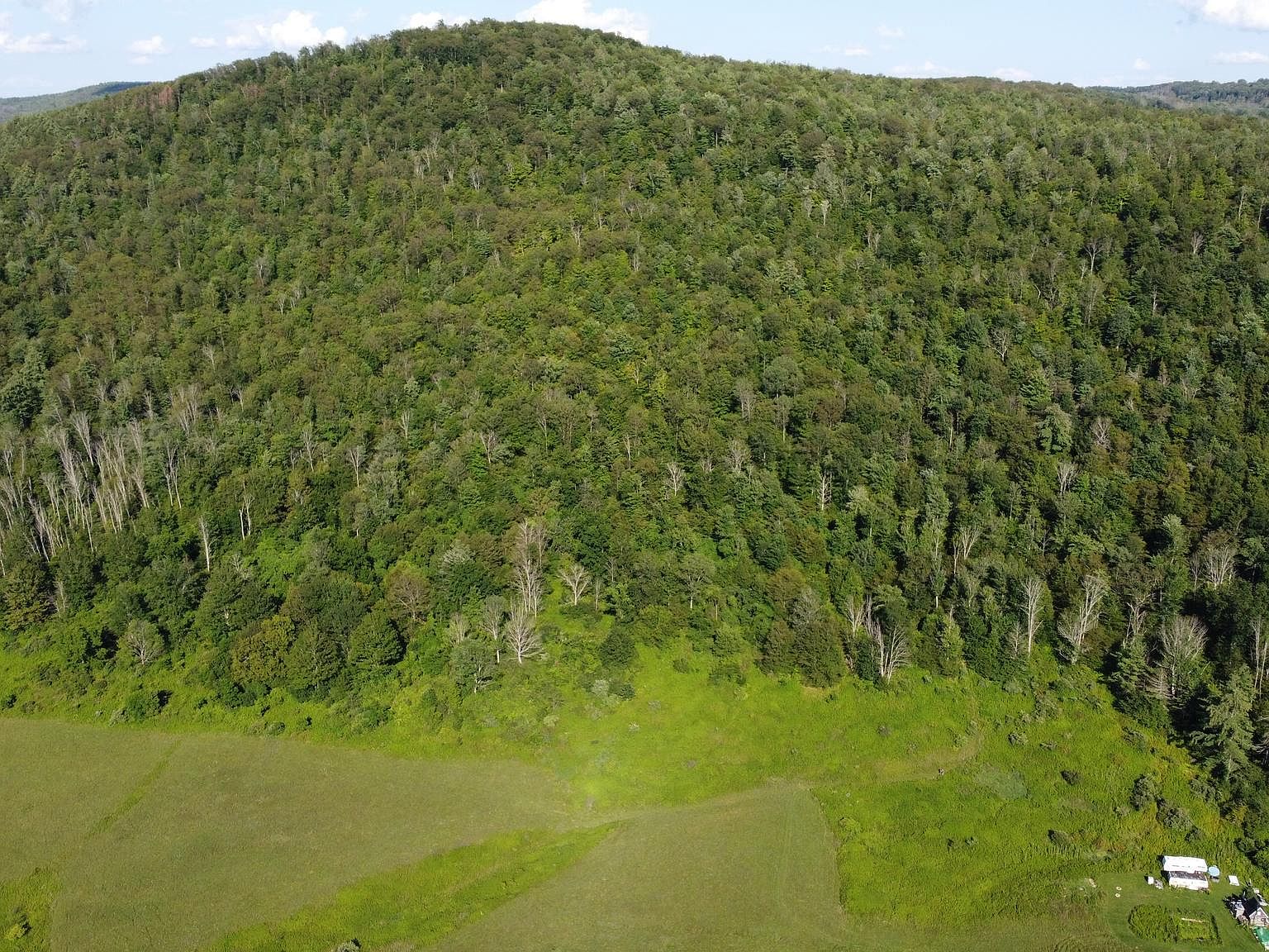 Route 328, Millerton, PA 16936 | Zillow