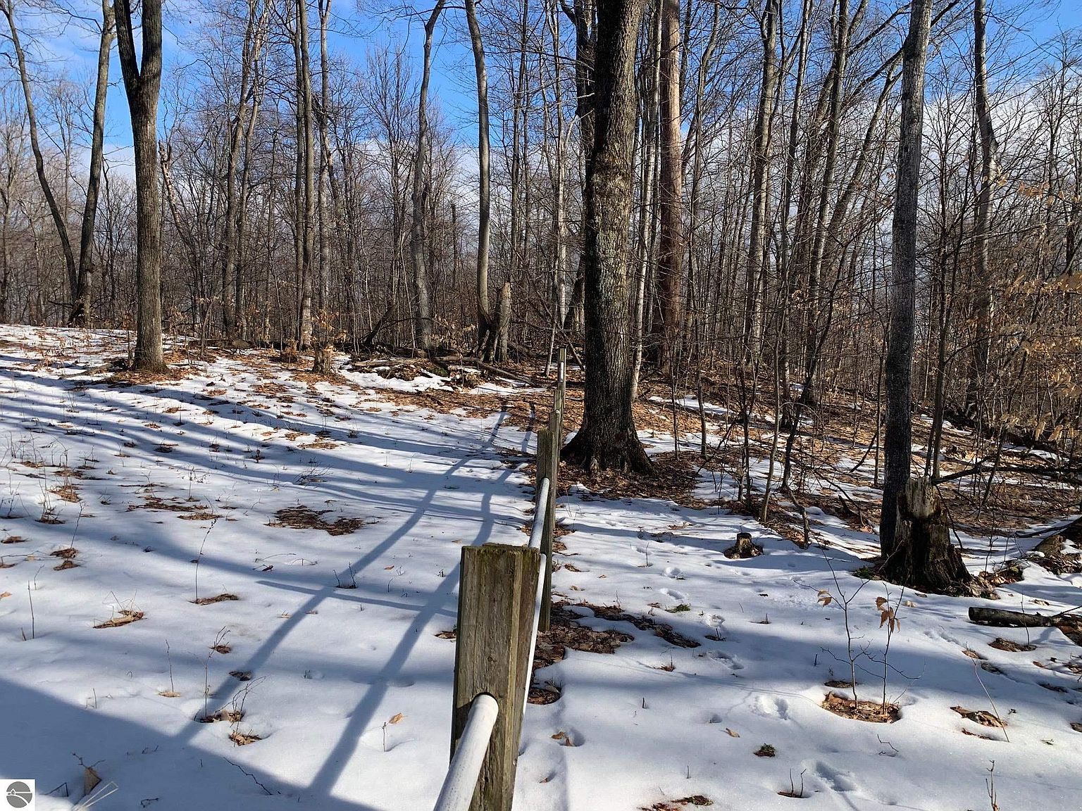 10 S Wheeler Rd, Maple City, MI 49664 | Zillow