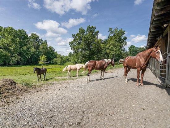 22101 Pear Orchard Rd, Moseley, VA 23120 | MLS #2117867 | Zillow