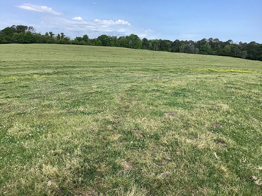 3250 N Glenwood Rd, Goshen, AL 36035 | MLS #25669 | Zillow