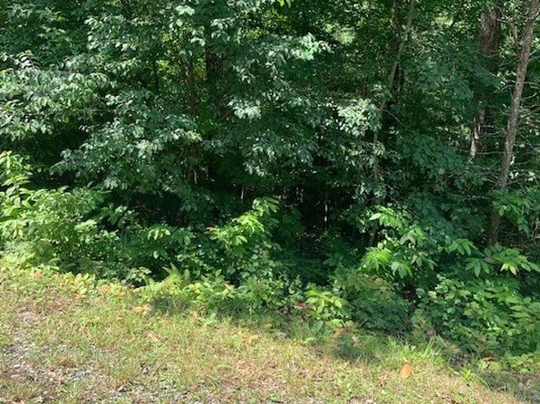 Ivy Log - Blairsville Real Estate - 3 Homes For Sale | Zillow