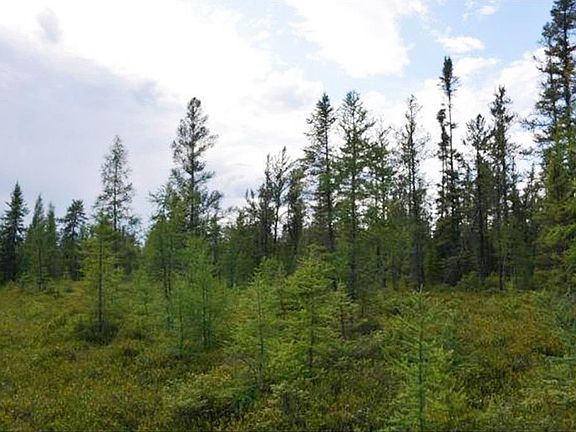 Clinton Twp, Forbes, MN 55738 | MLS #6457122 | Zillow