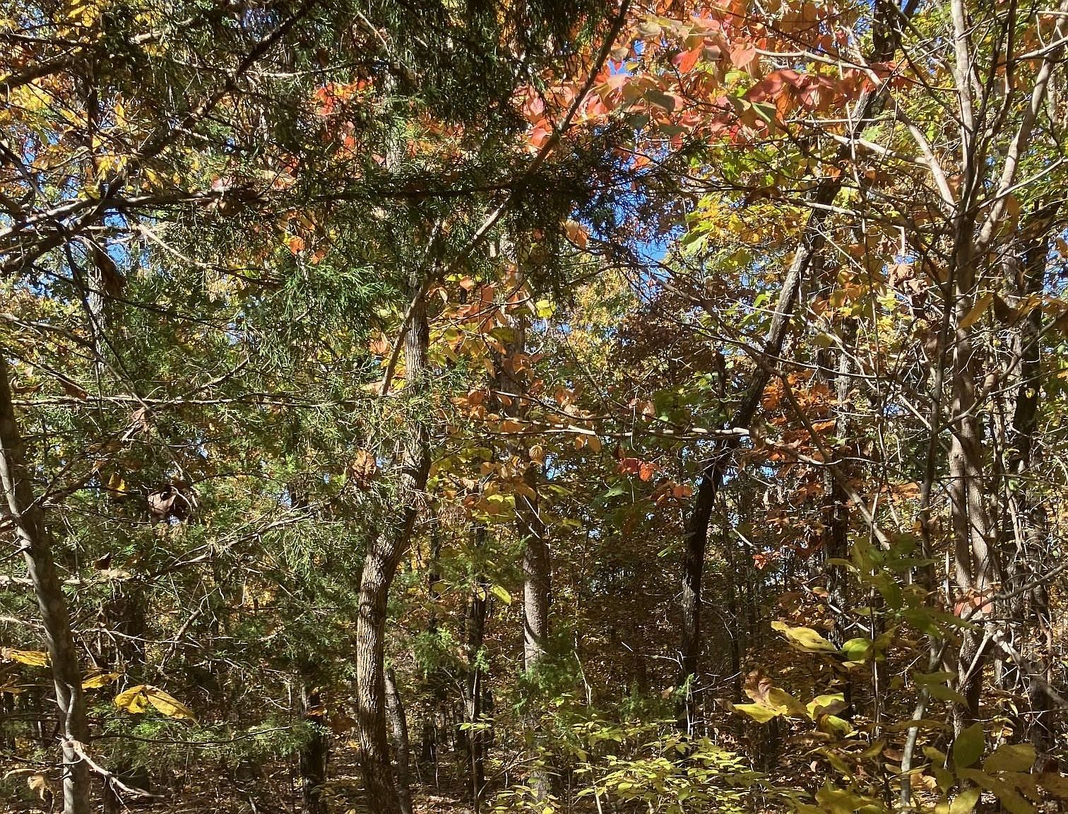 Pinecrest Road Lots 9 #&-10, Hardy, AR 72542 | MLS #24038365 | Zillow