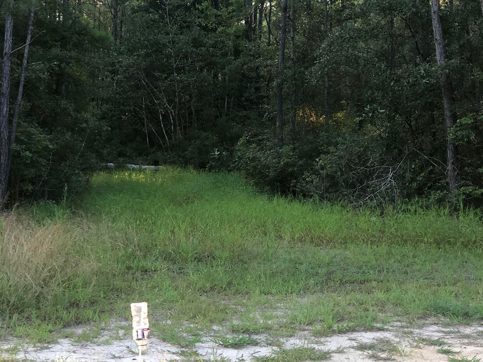 Williams Hill Rd, Hemingway, SC 29554 | Zillow