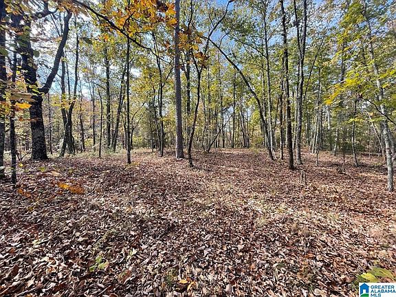 County Road 30 #1, Columbiana, AL 35051 | Zillow