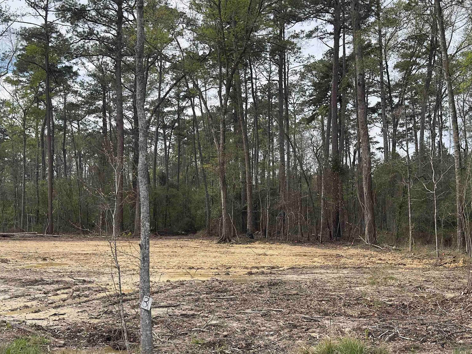 LOT B3 Reinninger Rd LOT B3, Denham Springs, LA 70706 | MLS #2024003485 ...