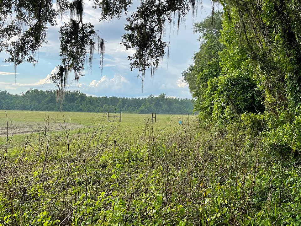 0 County Road 136a, Live Oak, FL 32060 | MLS #115717 | Zillow