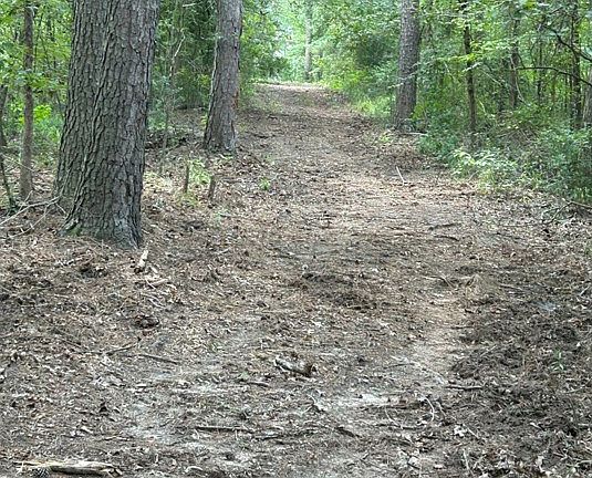 3270 County Road 839, Nacogdoches, TX 75964 | MLS #22401216 | Zillow