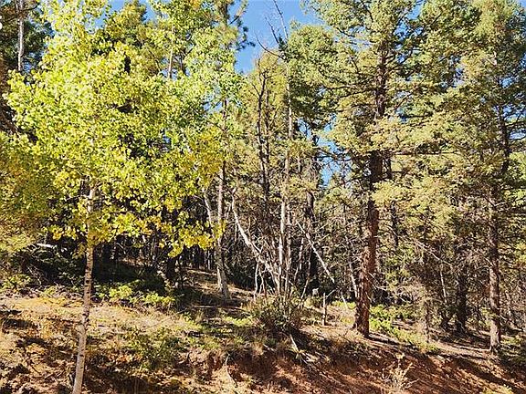 Pitchblende Rd, Florissant, CO 80816 | MLS #4180398 | Zillow