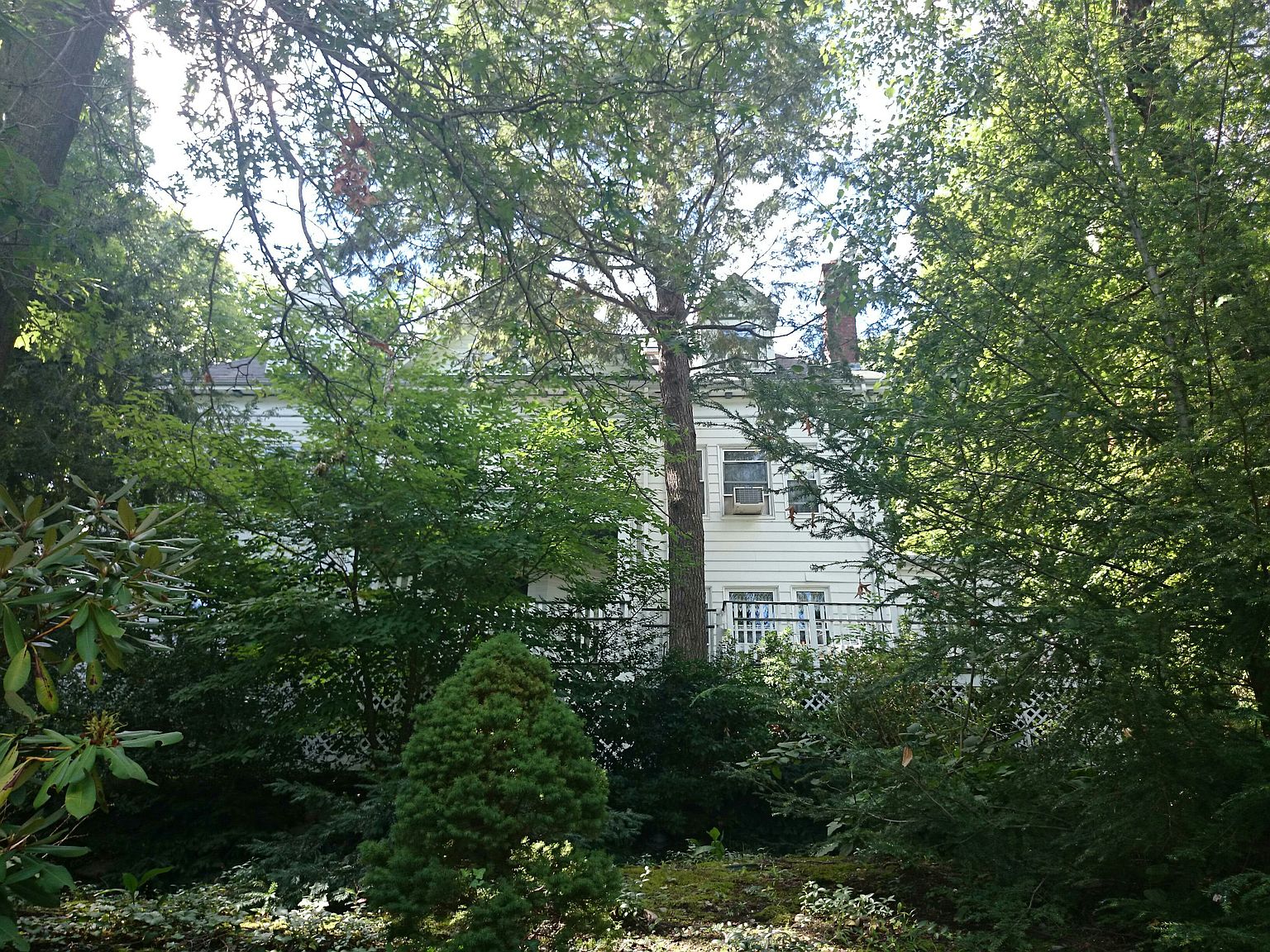 62 Clark Rd #2, Brookline, MA 02445 | Zillow