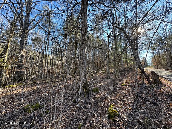 State Highway 131, Thorn Hill, TN 37881 | MLS #1330122 | Zillow
