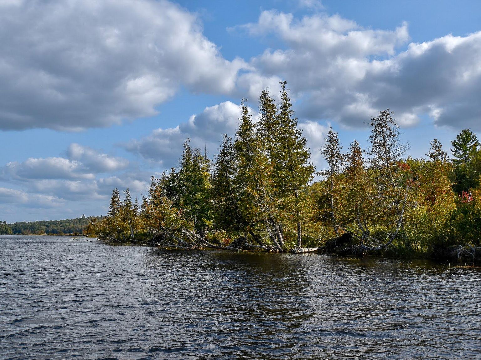 00 Carver Road, Milo, ME 04463 | MLS #1574974 | Zillow