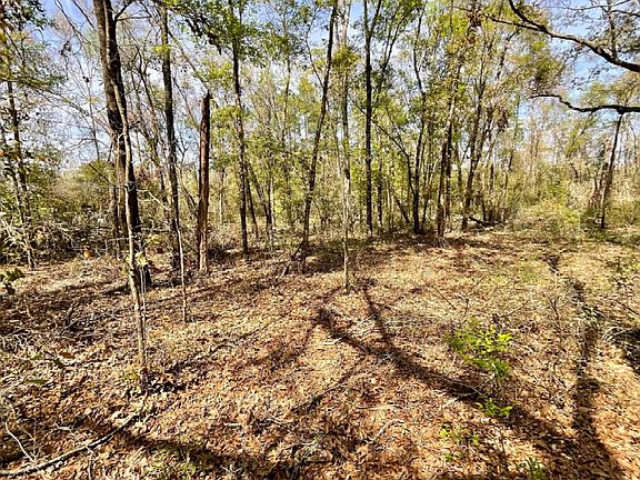 Vac Ne Persimmon Dr, Pinetta, FL 32350 | MLS #125724 | Zillow