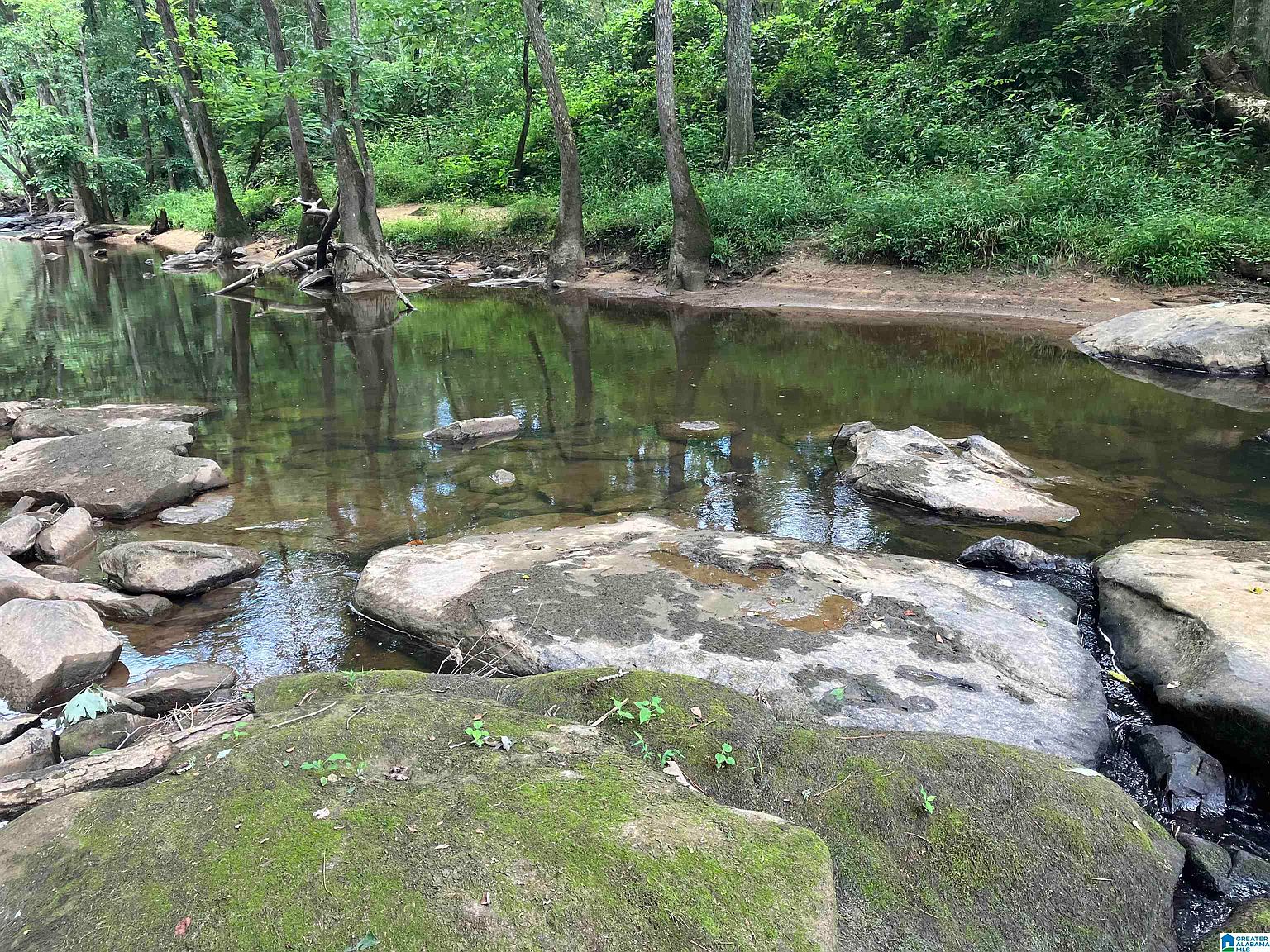 0 County Road 1749 #31, Holly Pond, AL 35083 | Zillow