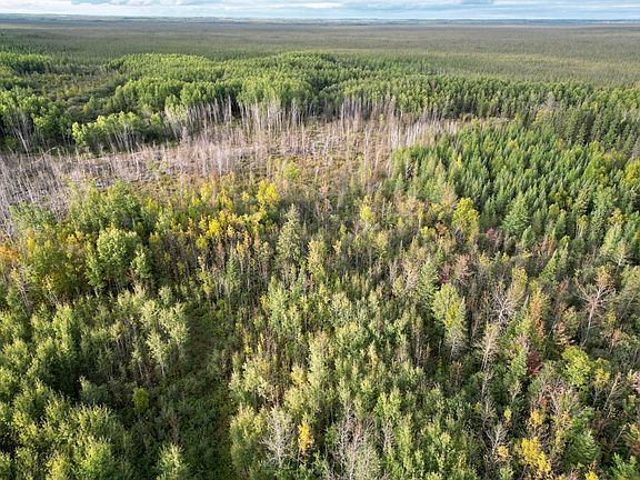 Olson Rd W, Brookston, MN 55711 | MLS #6434323 | Zillow