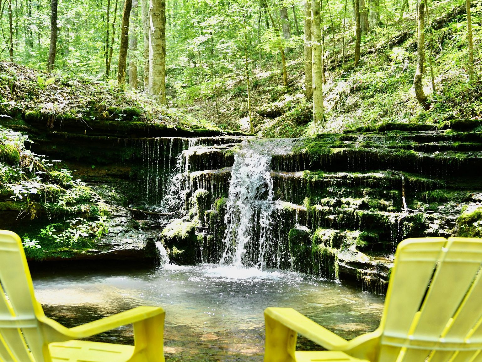 0 Mint Springs Rd, Ethridge, TN 38456 | MLS #2552345 | Zillow