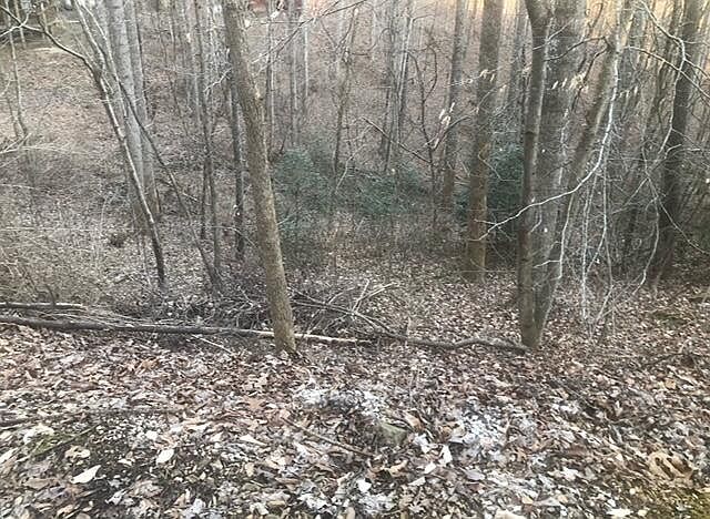 23 Debbie Ln, Slade, KY 40376 | Zillow