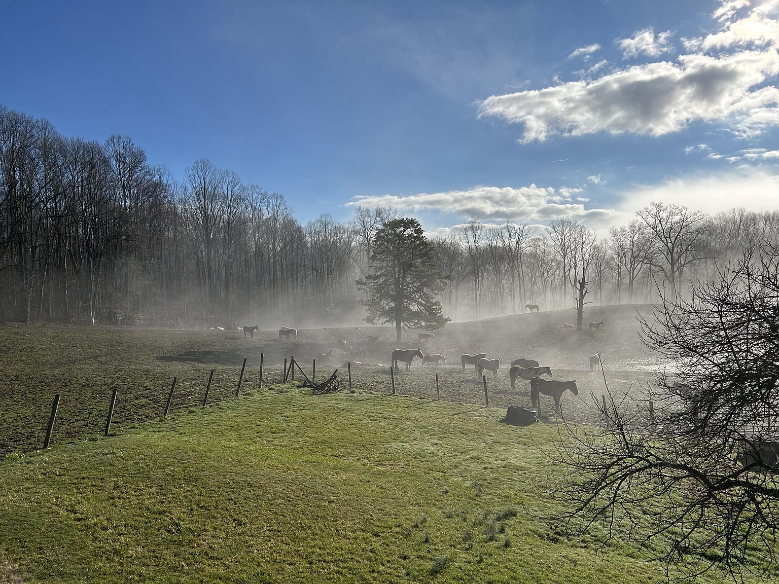 27 Cunard Rd, Fayetteville, WV 25840 | MLS #24-532 | Zillow