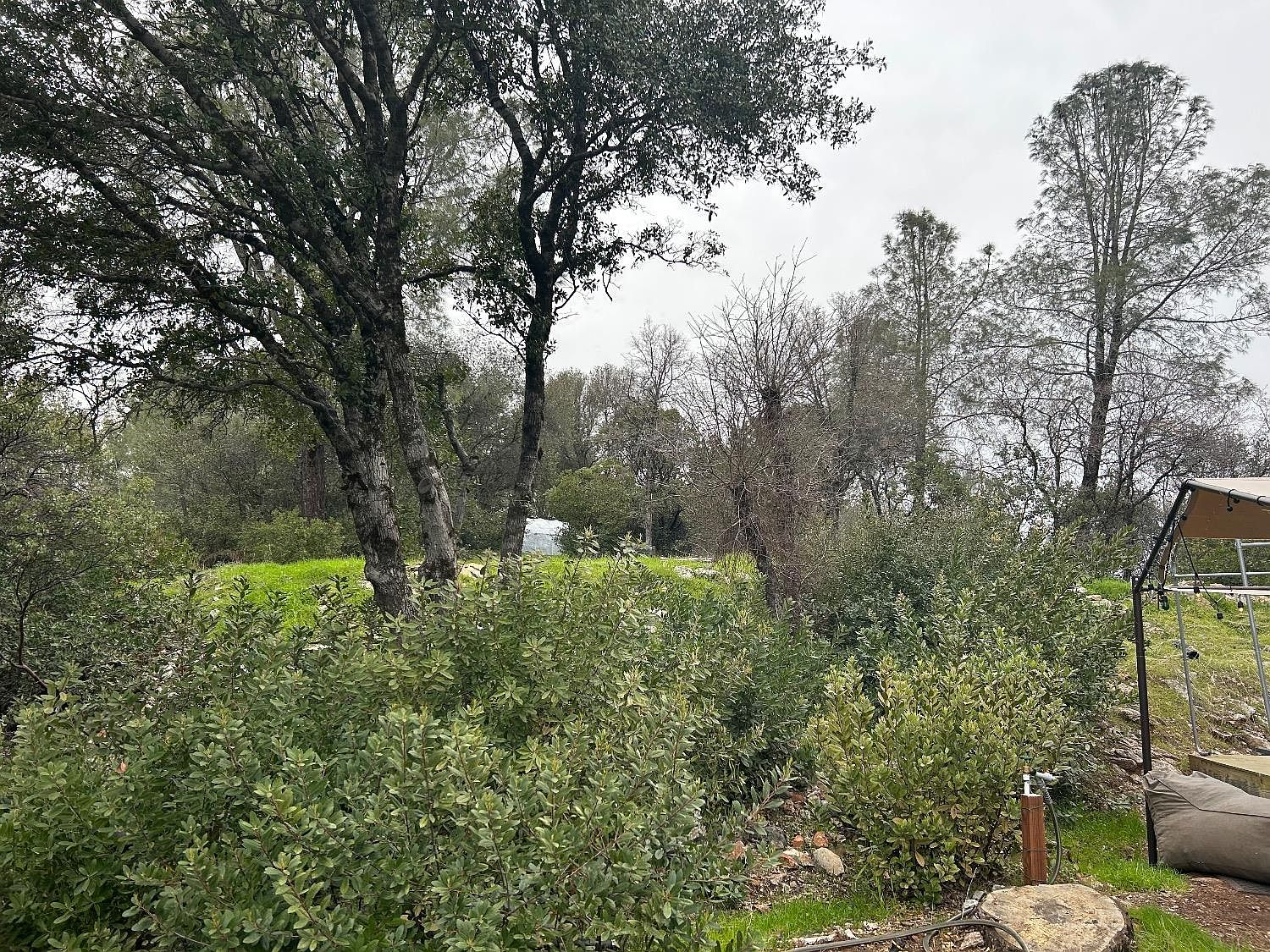 17649 Atwater Ln, Grass Valley, CA 95949 | Zillow