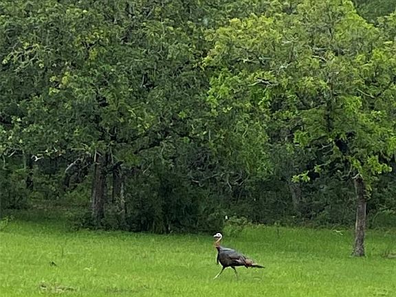 Tbd7 County Rd TRACT 19-7, Garwood, TX 77442 | MLS #85962746 | Zillow