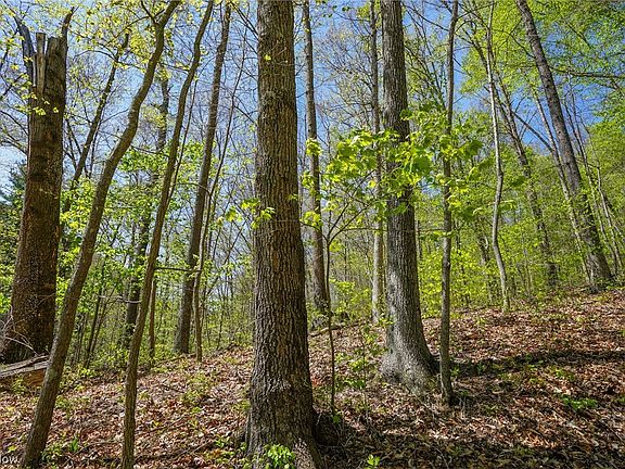 State Route 681, Londonderry, OH 45647 | MLS #4456833 | Zillow