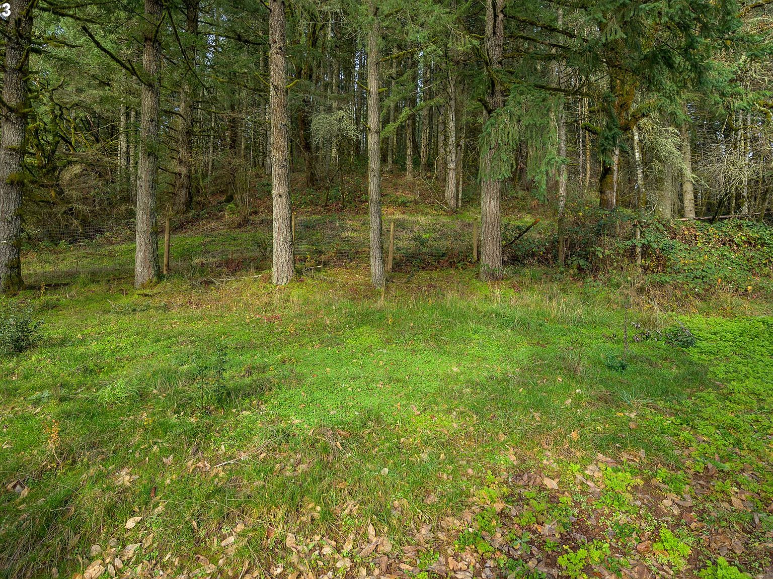 16600 NW Panther Creek Rd, Carlton, OR 97111 | MLS #23281221 | Zillow