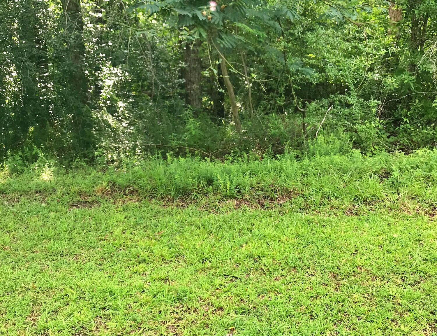 LOT 14 Althea Loop, Alexander City, AL 35010 | MLS #25-1863 | Zillow